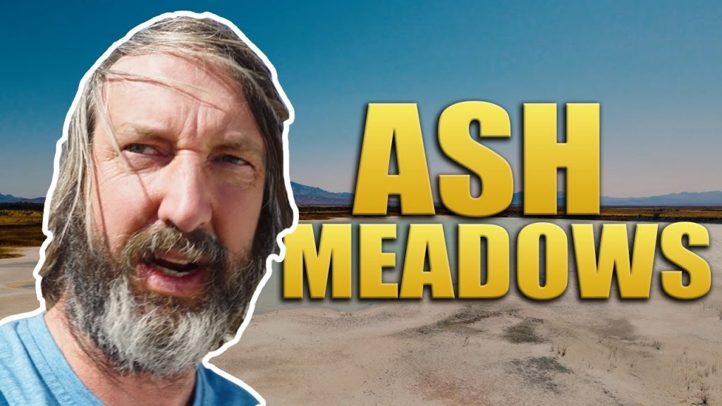 Ash Meadows Wildlife Refuge – Nevada – Prehistoric Pup Fish – Outlaw ...