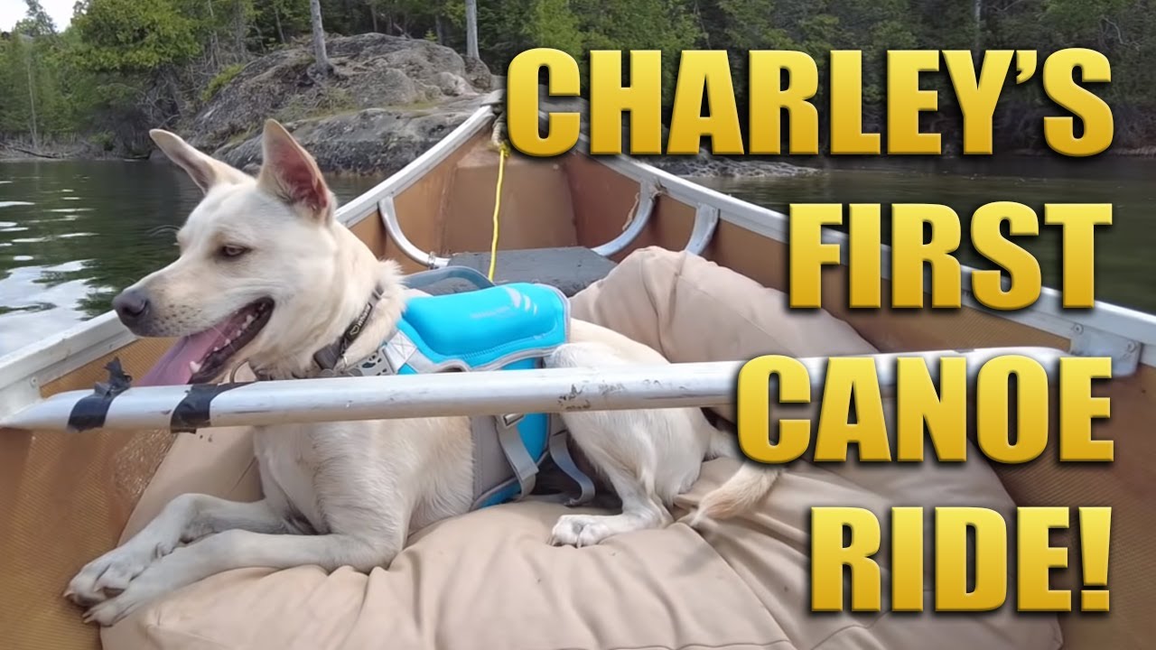 Tom Green – The Channel